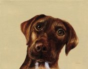 Gourlay Steel - A Dandy Dinmont - Art Print - Global Gallery