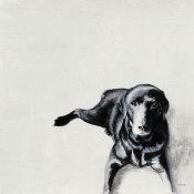 Gourlay Steel - A Dandy Dinmont - Art Print - Global Gallery