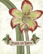 Mary Lawrence - Passion Flowers - Art Print - Global Gallery