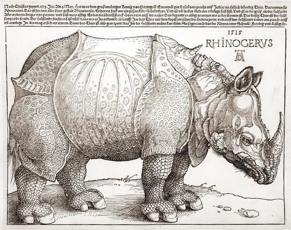 Albrecht Durer - The Rhinoceros - Art Print - Global Gallery
