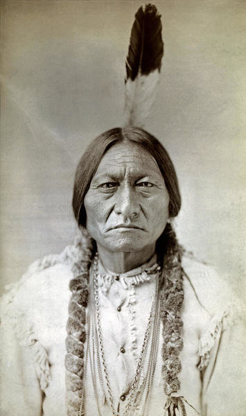 D.F. Barry - Sitting Bull - Art Print - Global Gallery