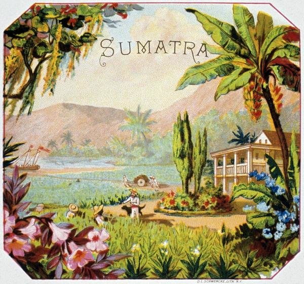 Unknown - Sumatra - Art Print - Global Gallery