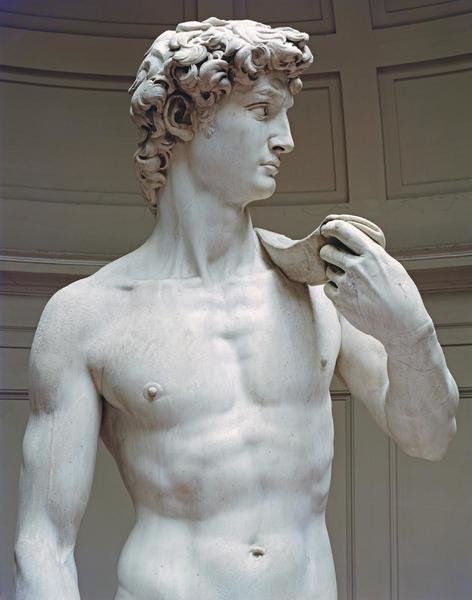 Michelangelo - David (Detail I) - Art Print - Global Gallery
