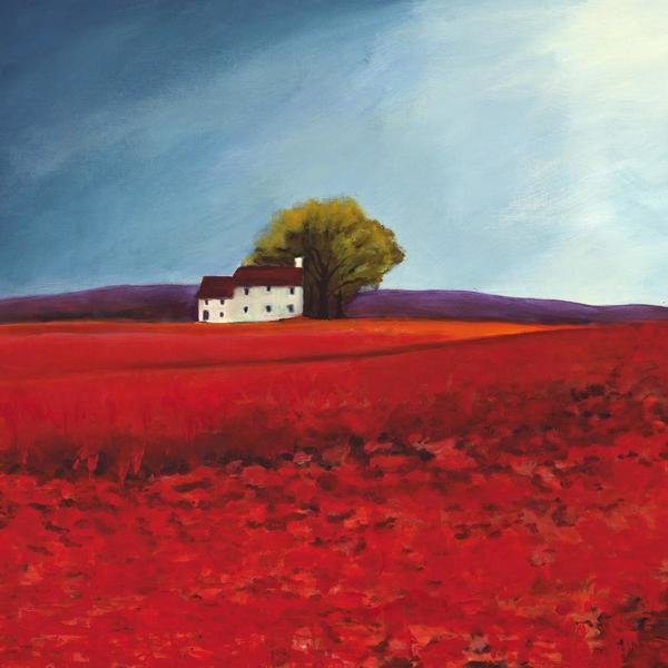 Philip Bloom - Field of Poppies (Detail) - Art Print - Global Gallery