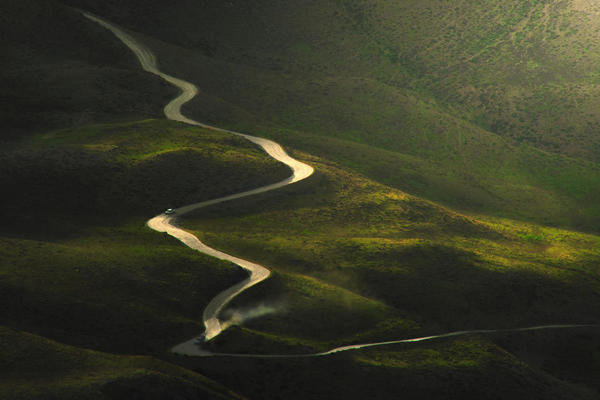 Ali Memari - Life Line - Art Print - Global Gallery